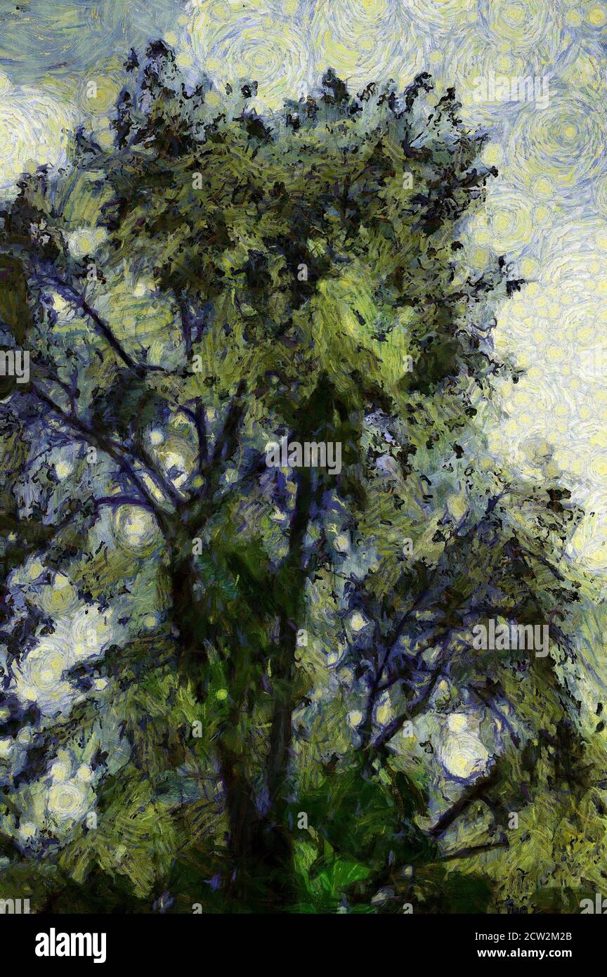 Trees and branches Illustrations creates an impressionist style of ...