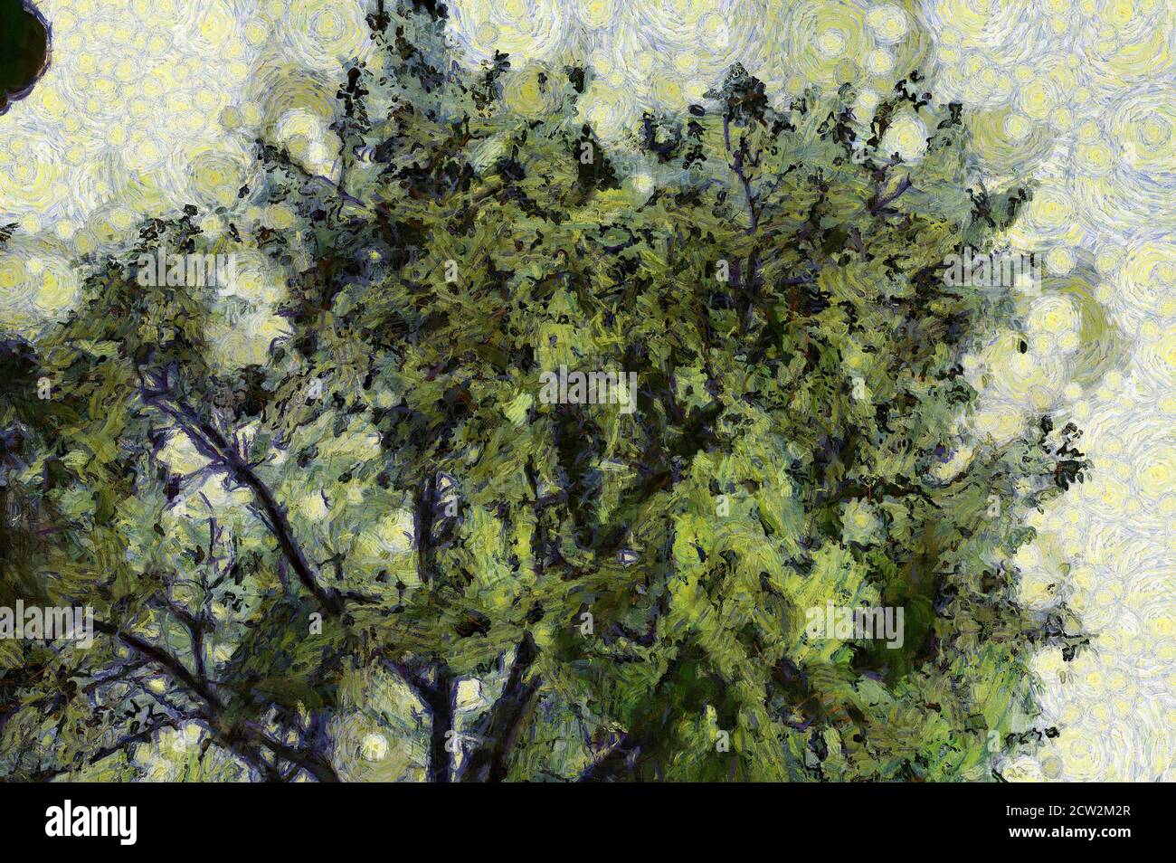 Trees and branches Illustrations creates an impressionist style of ...
