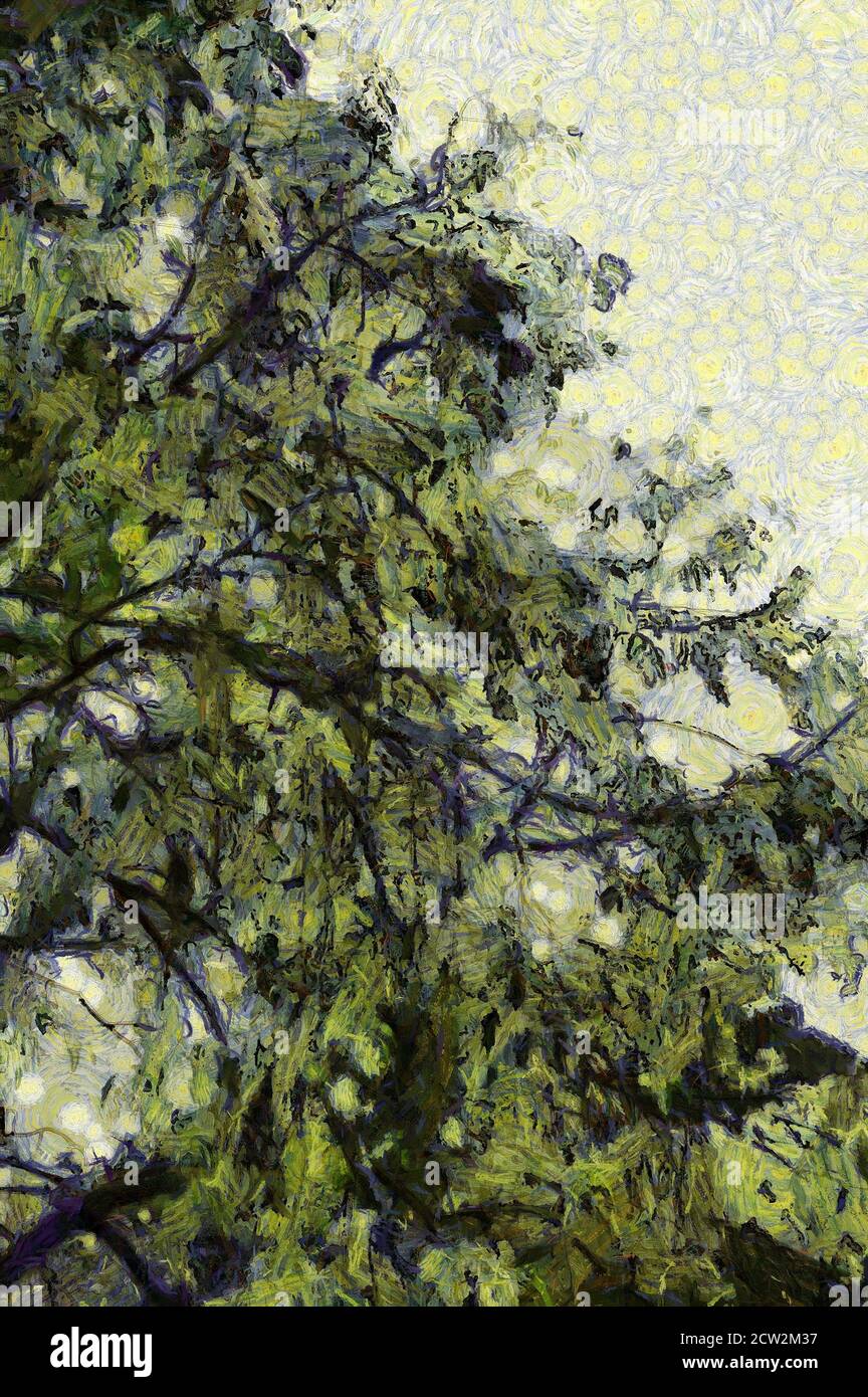 Trees and branches Illustrations creates an impressionist style of ...