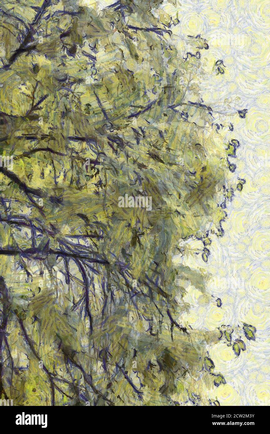 Trees and branches Illustrations creates an impressionist style of ...