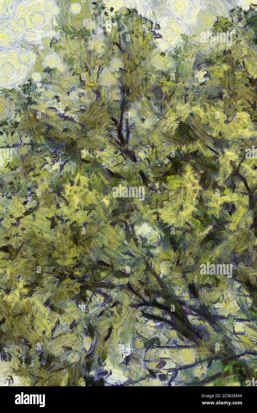 Trees and branches Illustrations creates an impressionist style of ...