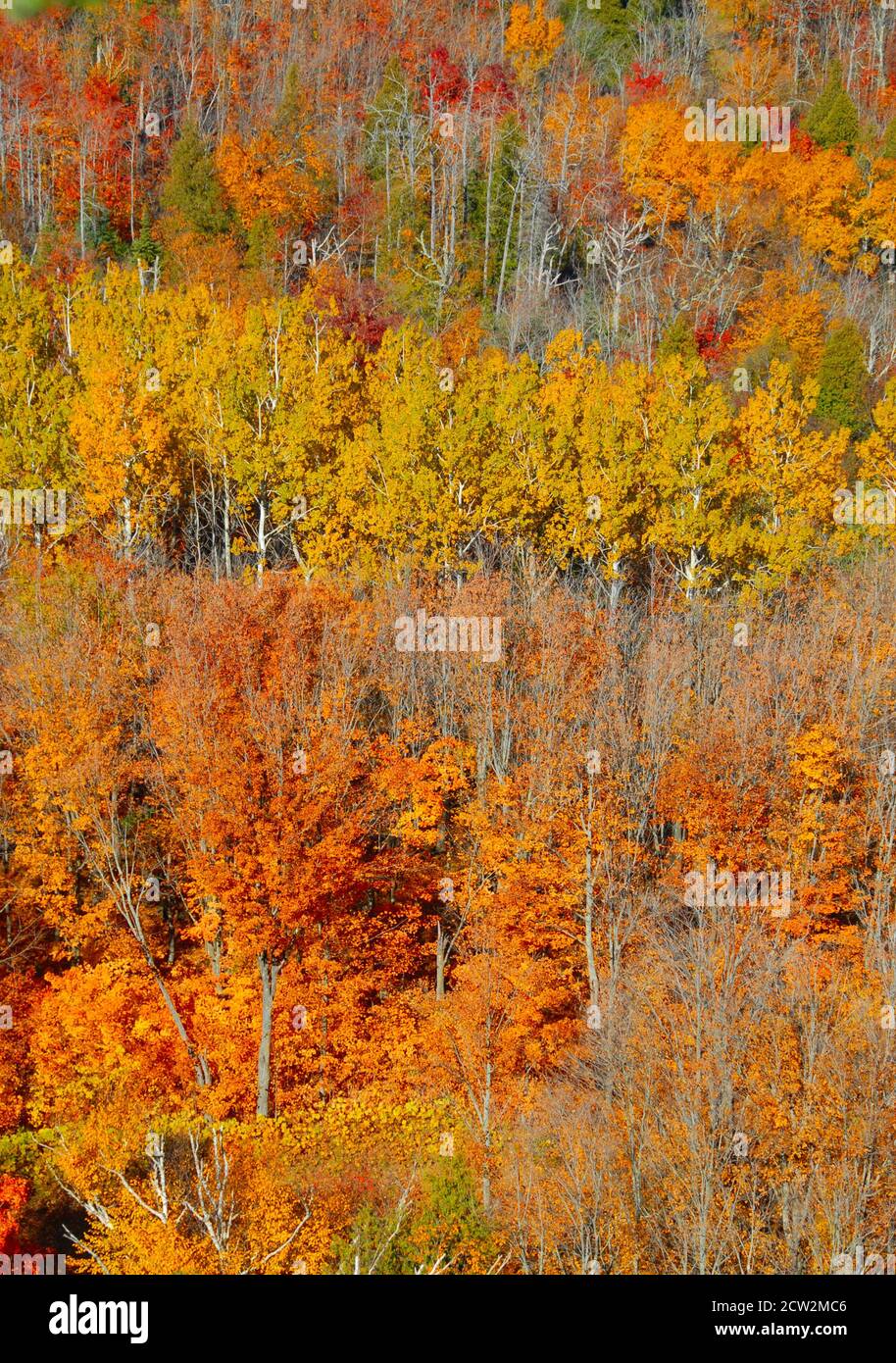 Minnesota lutsen mountains hi-res stock photography and images - Alamy