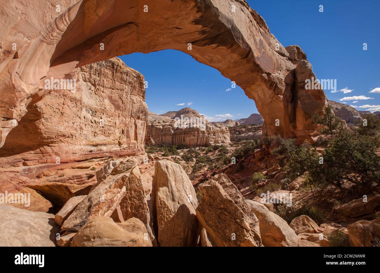 Hickman Bridge, a natural arch in Capitol Reef National Park Stock ...