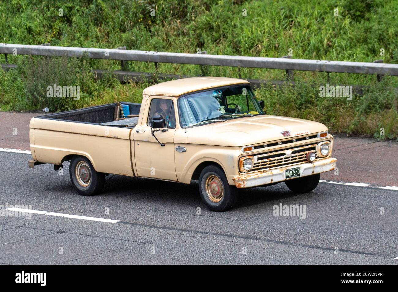 1966 60s beige American Ford pickup truck; Vehicular traffic, moving ...
