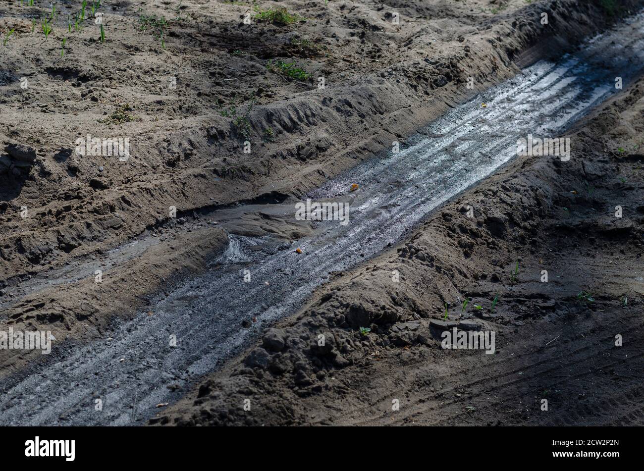 Tire tracks on a wet dirt road. A crushed track in wet sand. Off-road ...
