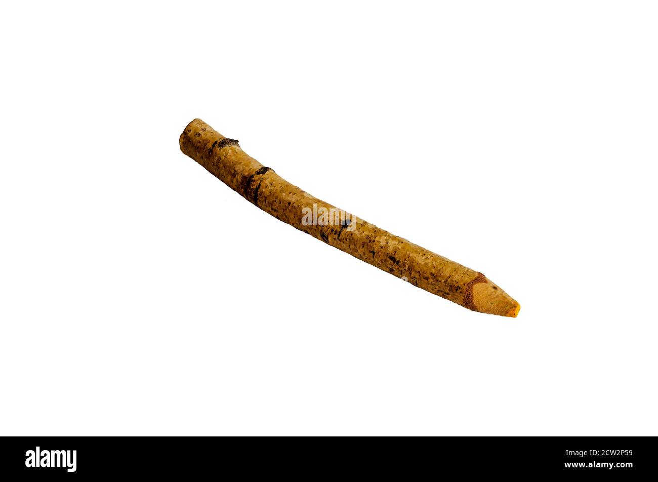 Birch Pencil On A White Background Colored Pencil For Drawing Made
