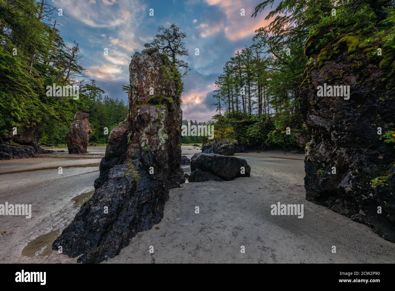 Sea stack at San Josef Bay in Cape Scott, Provincial Park, Vancouver ...