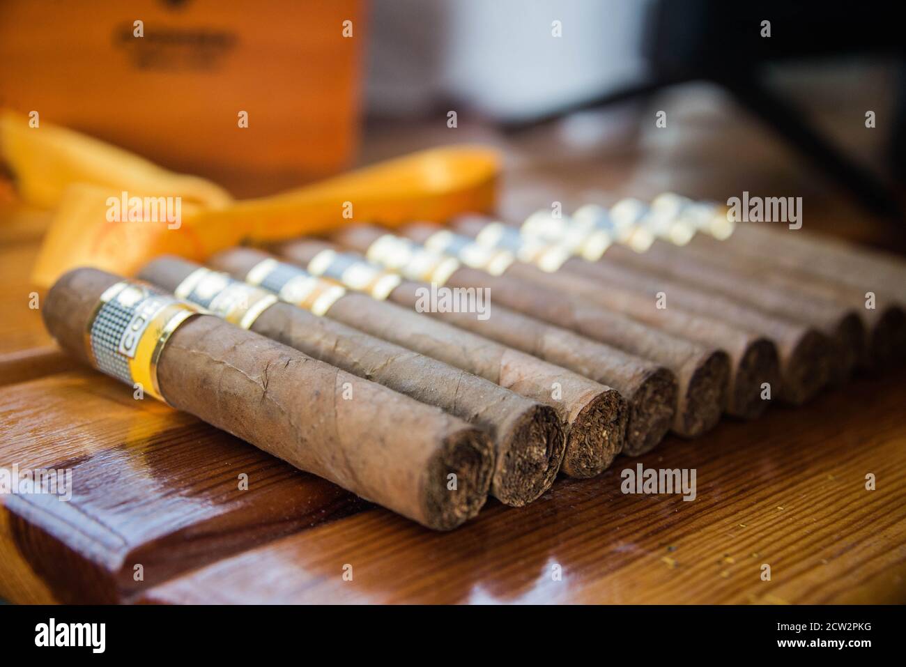 Cuban cigar, Havana, Cuba Stock Photo - Alamy