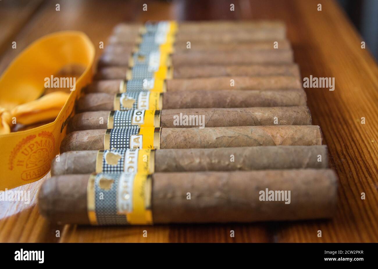 Cuban cigar, Havana, Cuba Stock Photo - Alamy