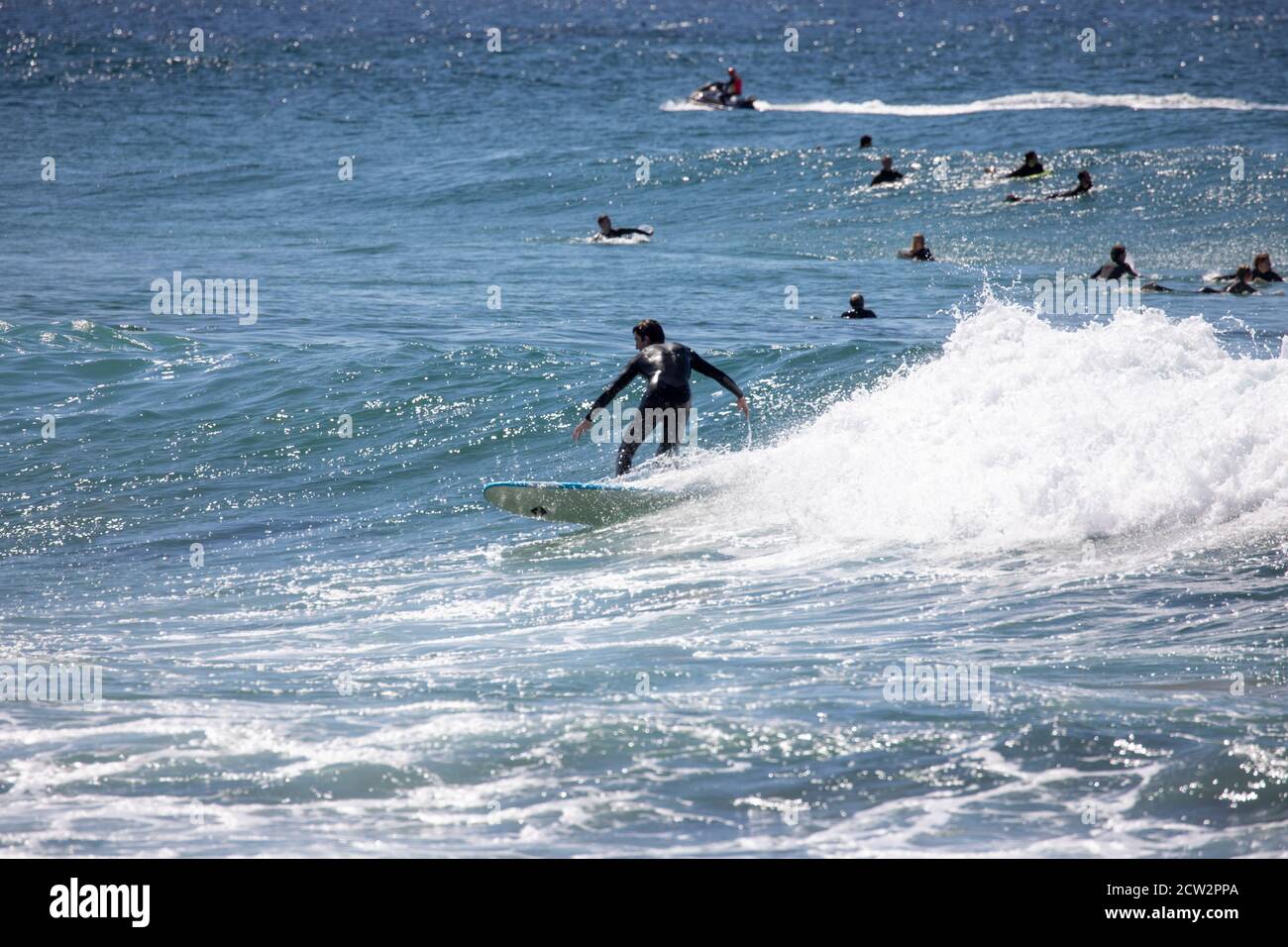 Australian surfers off Avalon Beach surf the waves,Sydney,NSW,Australia ...