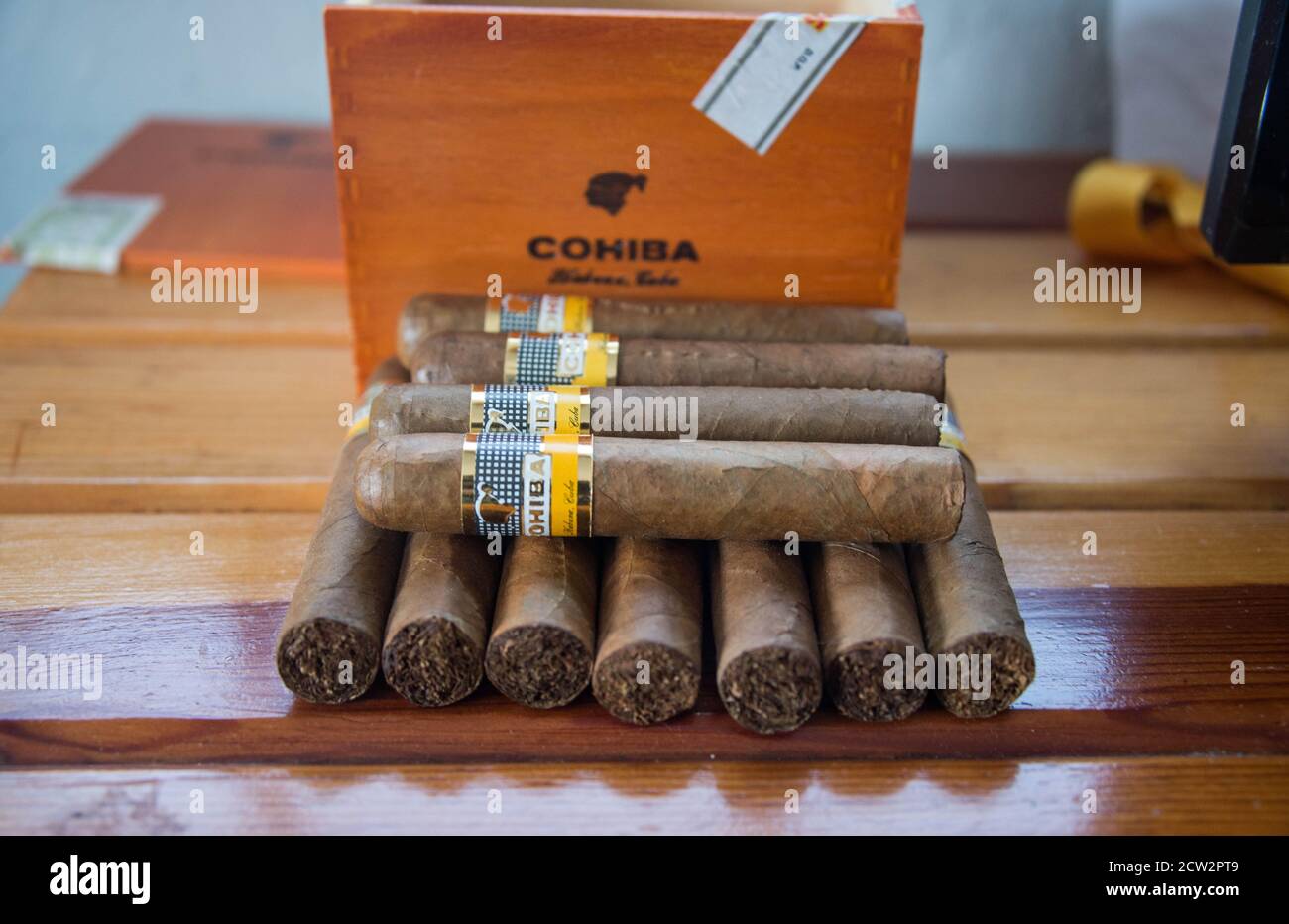Cohiba Cuban Cigar, Havana, Cuba Stock Photo - Alamy