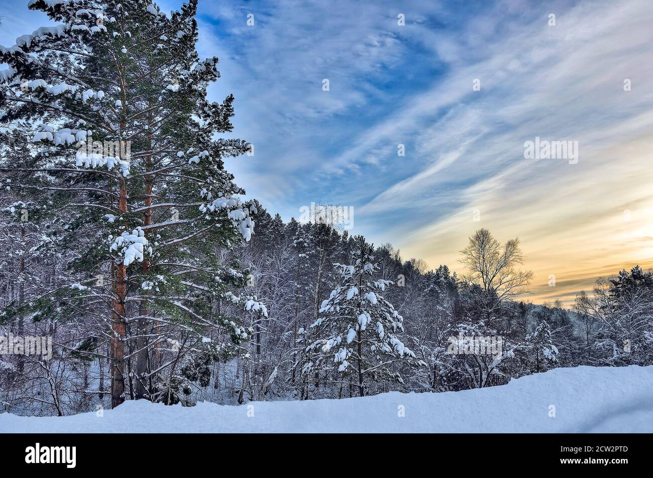 Woodland snow sunset hi-res stock photography and images - Alamy