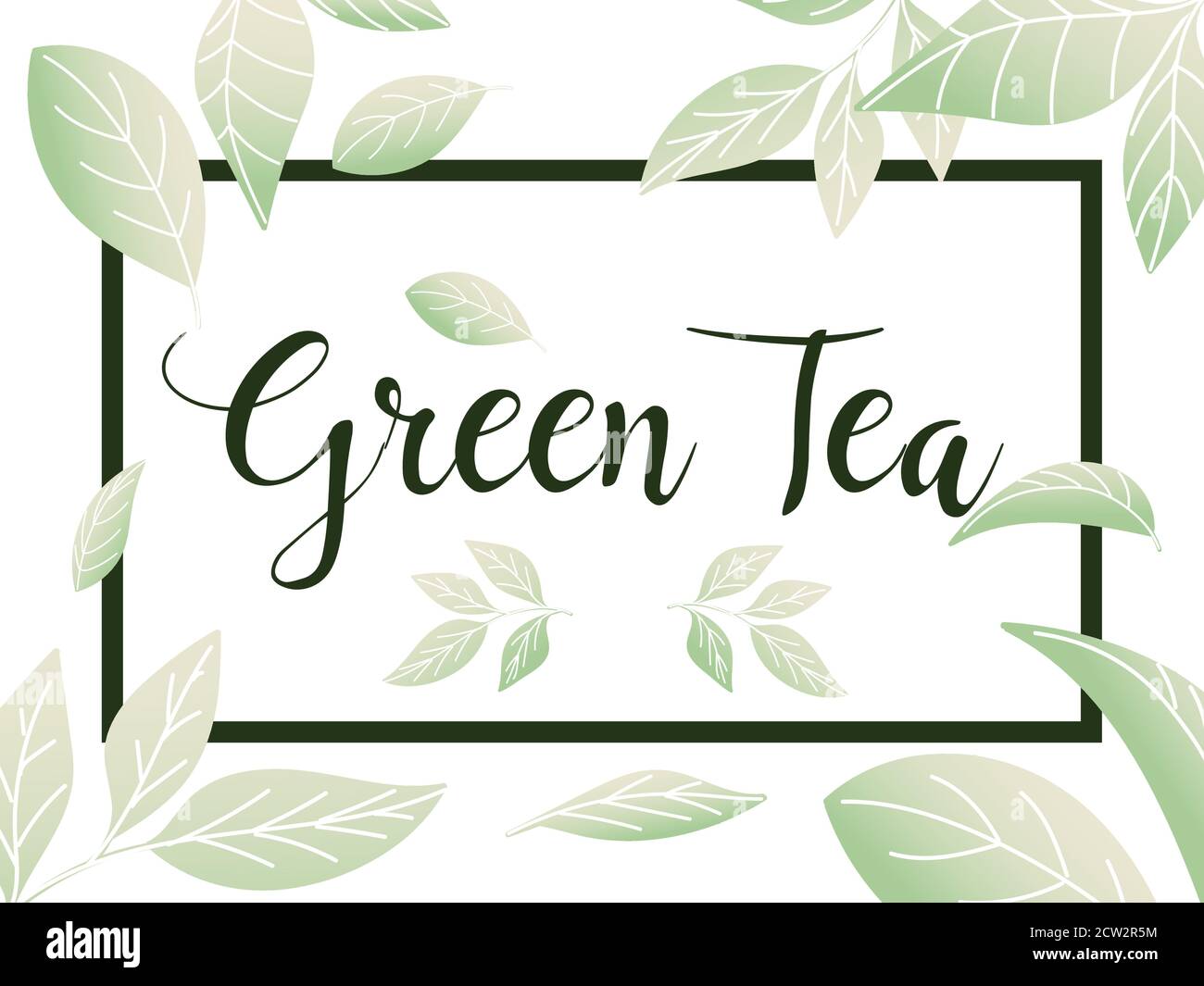Green tea with eaves in frame design, drink breakfast beverage hot ...