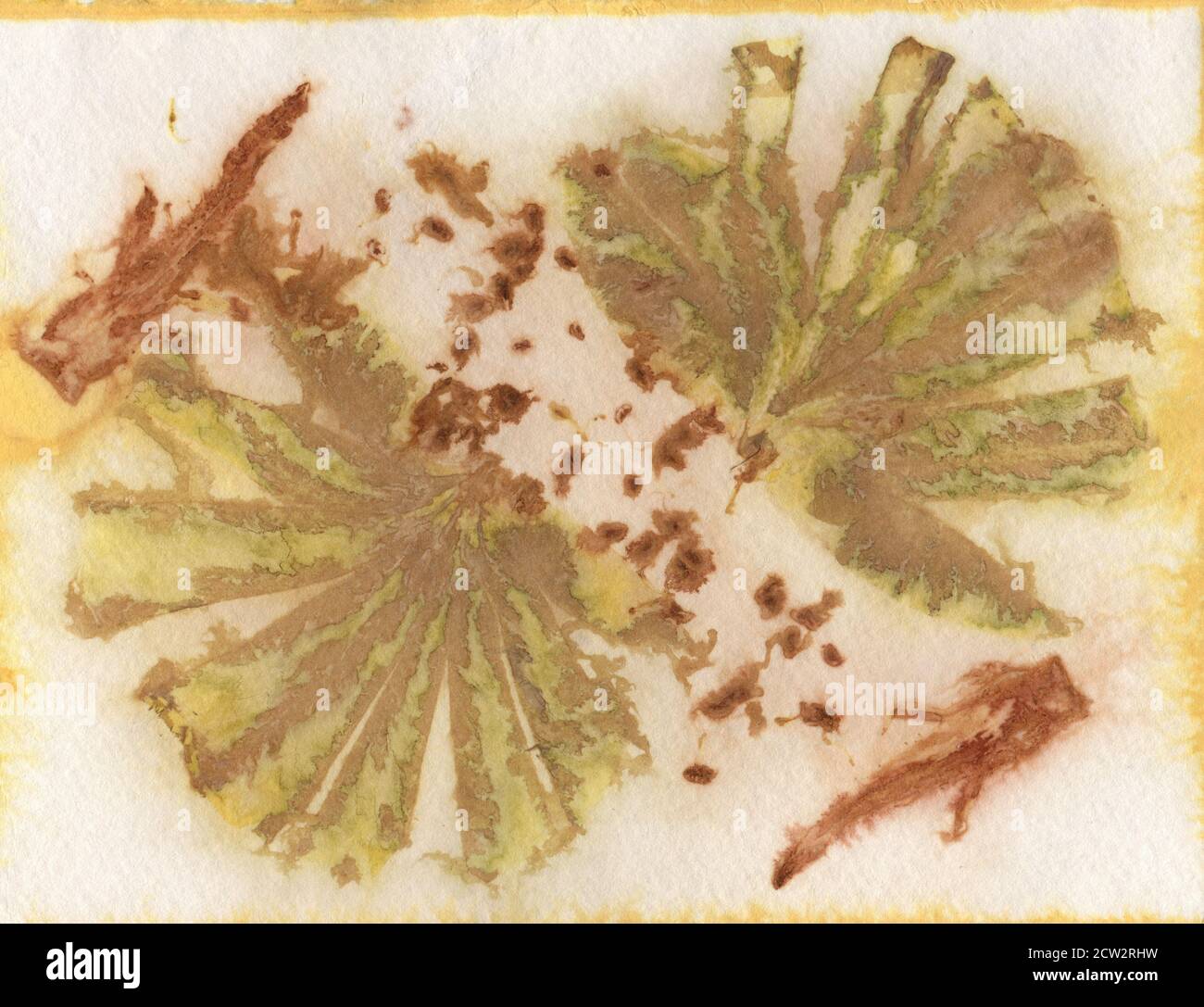 Vintage paper texture. Grunge background. Contains grain and dust. Eco ...