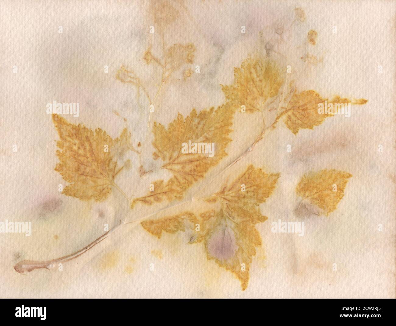 Vintage paper texture. Grunge background. Contains grain and dust. Eco ...