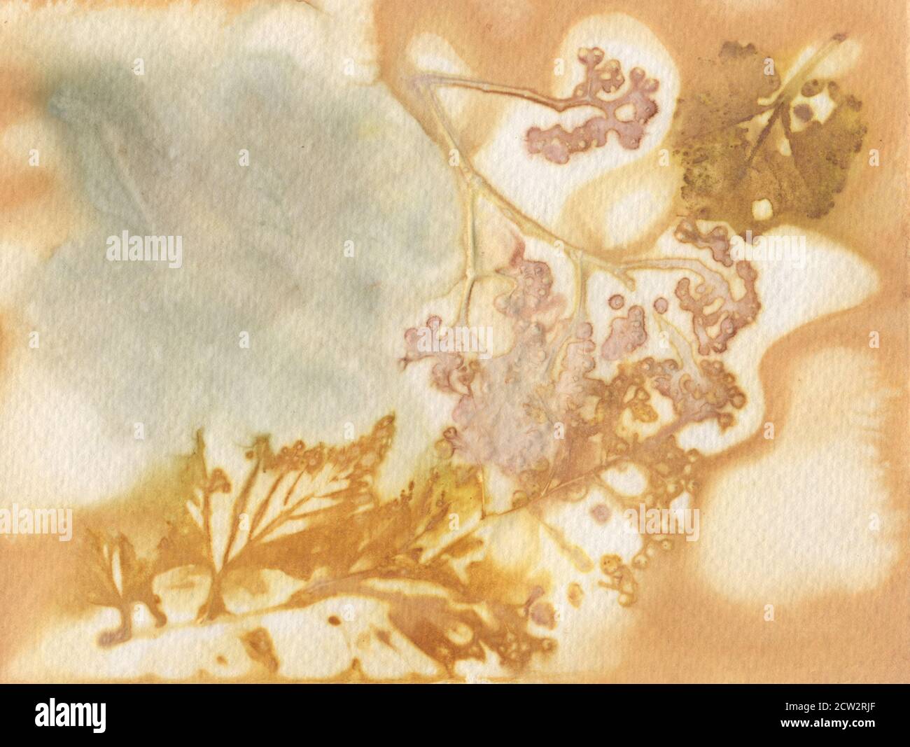 Vintage paper texture. Grunge background. Contains grain and dust. Eco ...