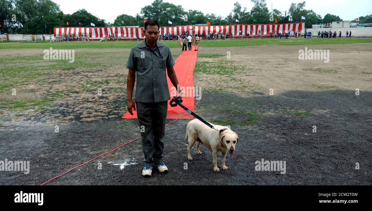 Patroldog hi-res stock photography and images - Alamy