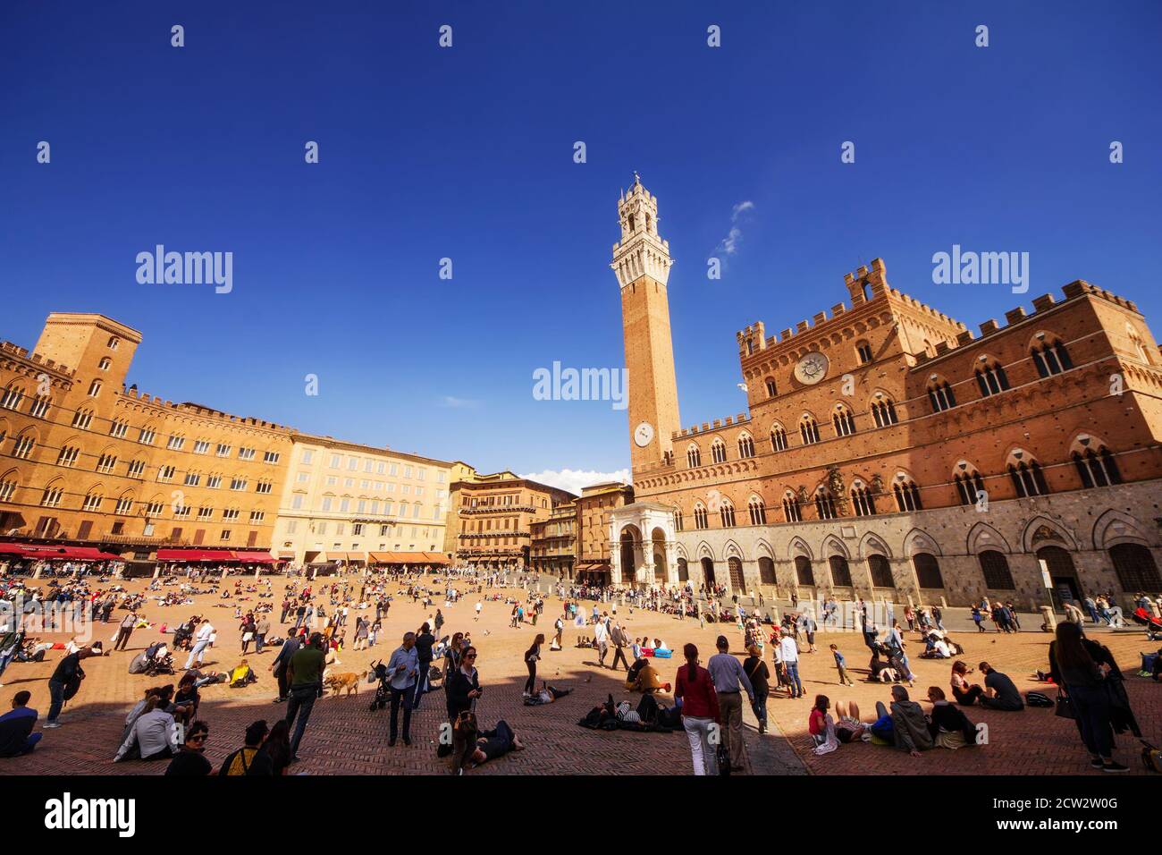 Sienas main square hi-res stock photography and images - Alamy