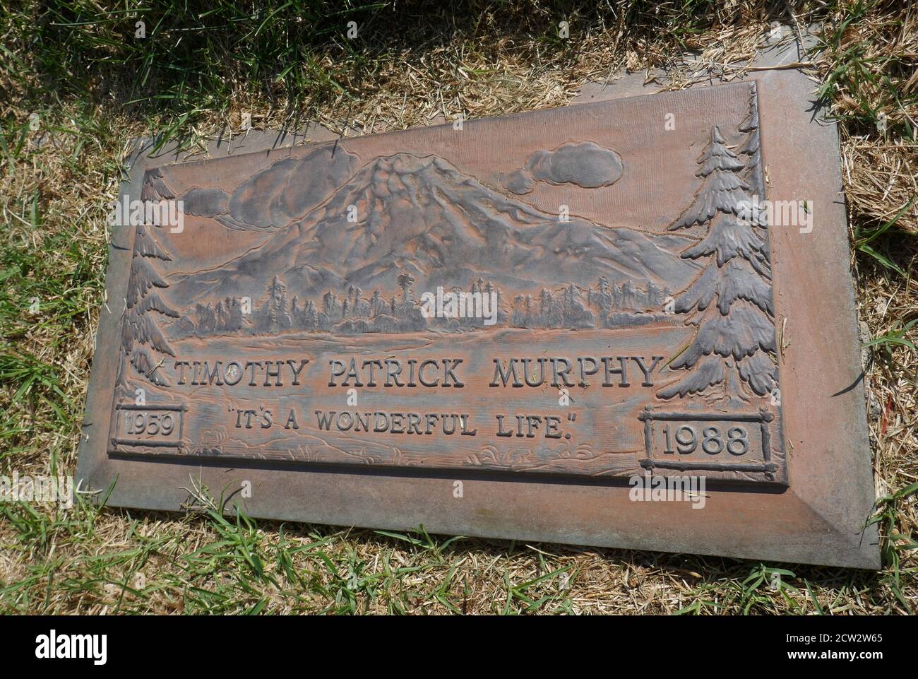 Timothy Patrick Murphy