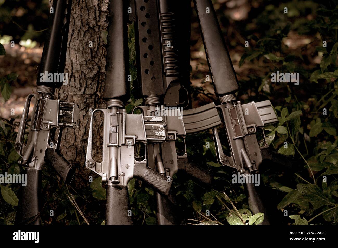 Guns at tree forest after war Stock Photo - Alamy