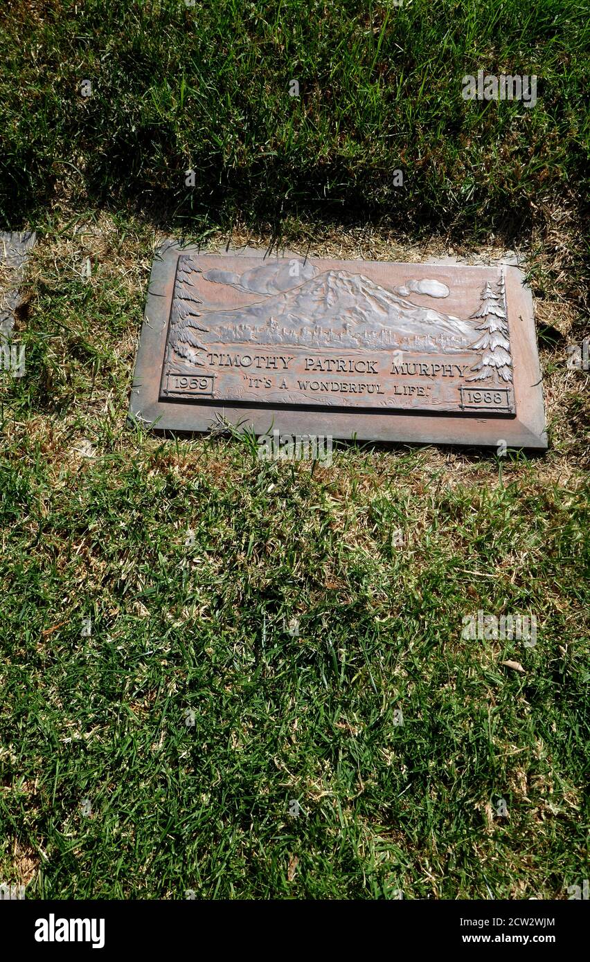 Timothy Patrick Murphy