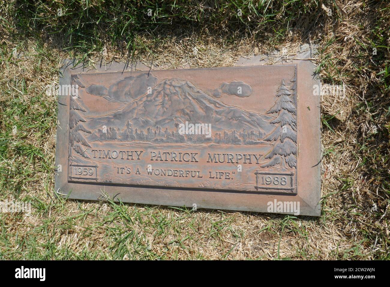 Timothy Patrick Murphy