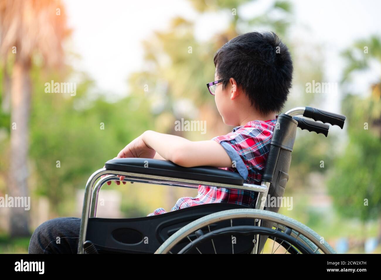 Alone young disabled man on wheelchair in the park, Patient is relaxing ...
