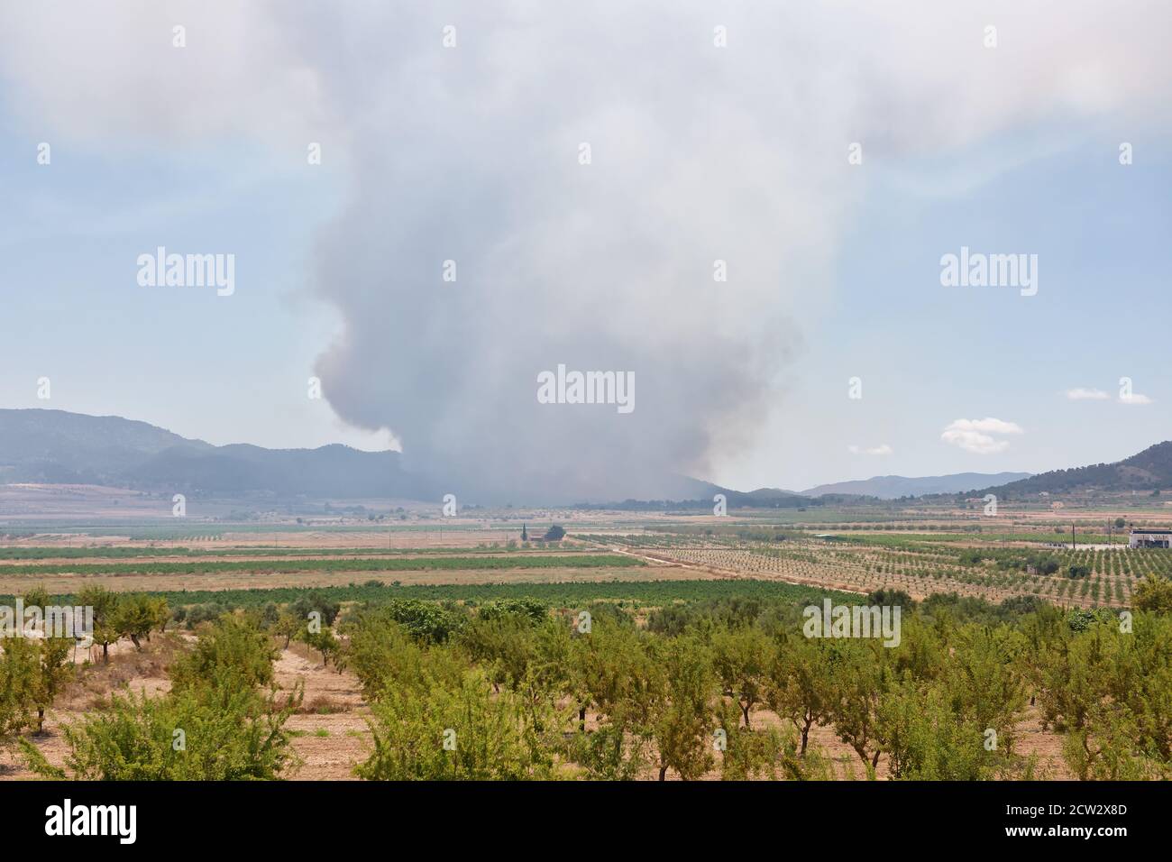 Forest Fire and smoke clouds Stock Photo - Alamy