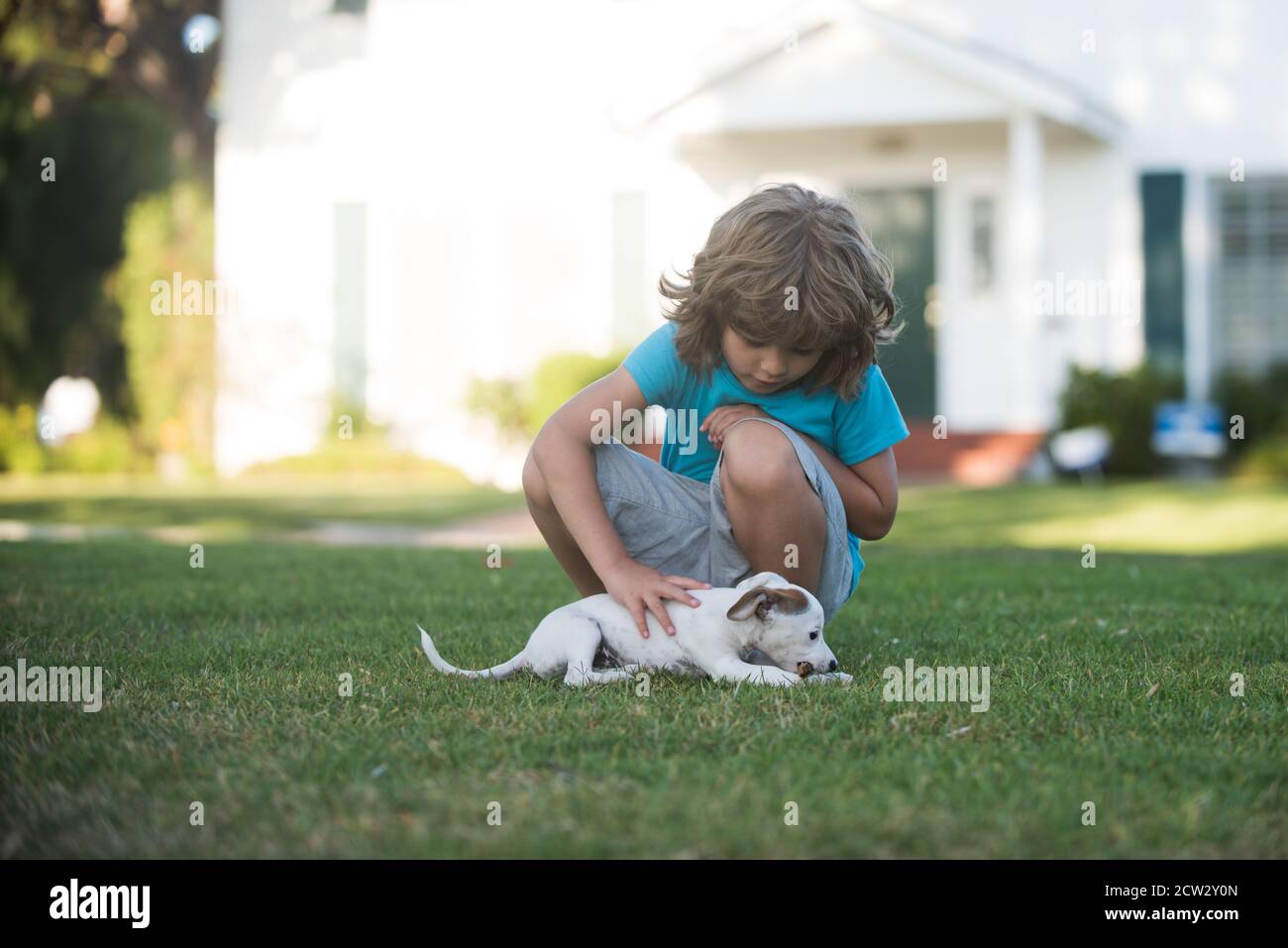 Cute kid playing with a dog in garden Stock Photo - Alamy