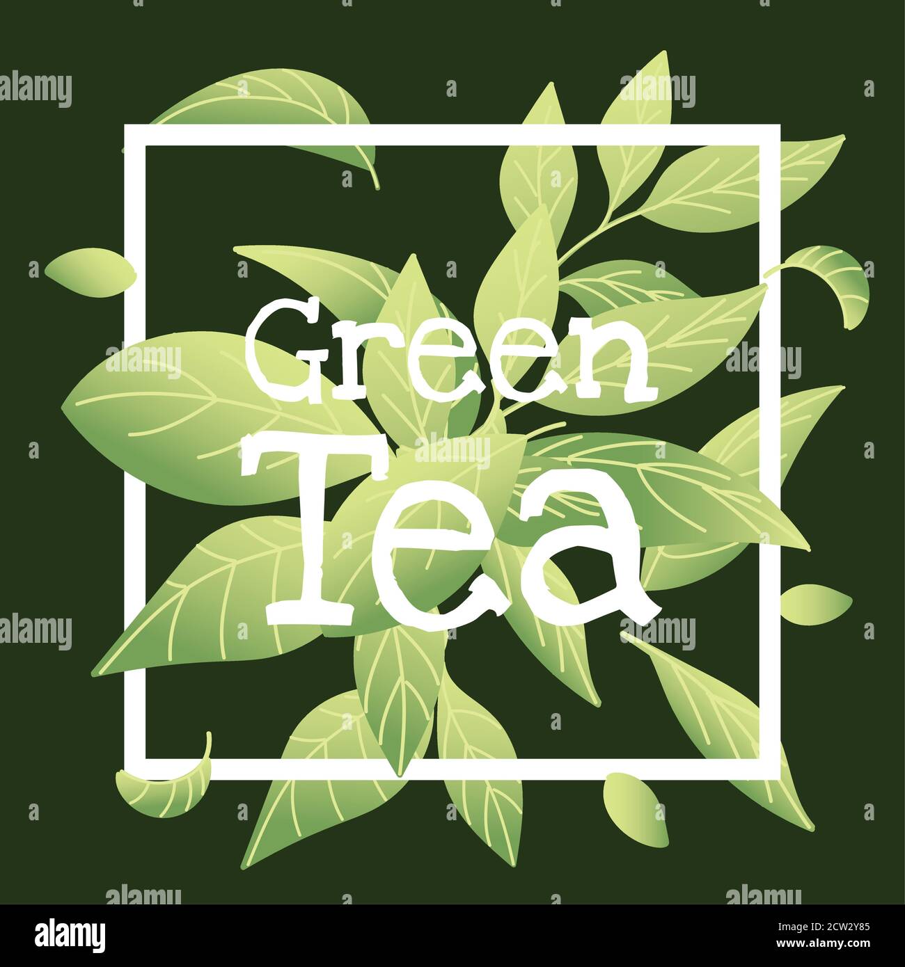 Green tea with eaves in frame design, drink breakfast beverage hot ...