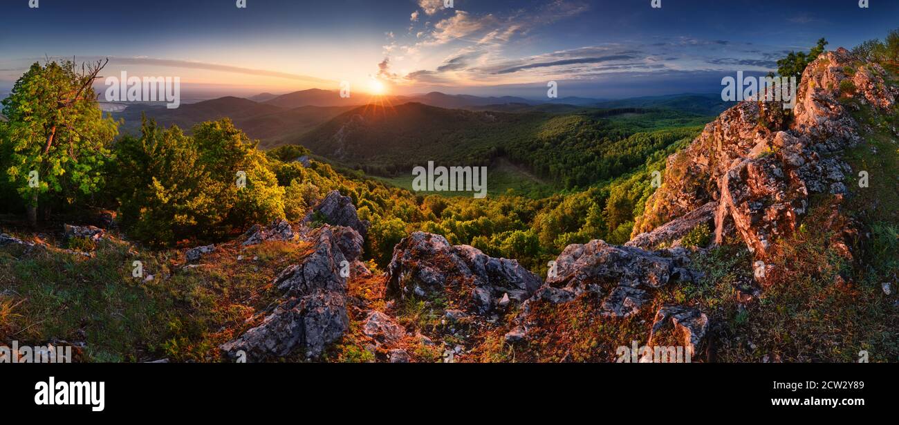 Fresh green forest beautiful hi-res stock photography and images - Alamy