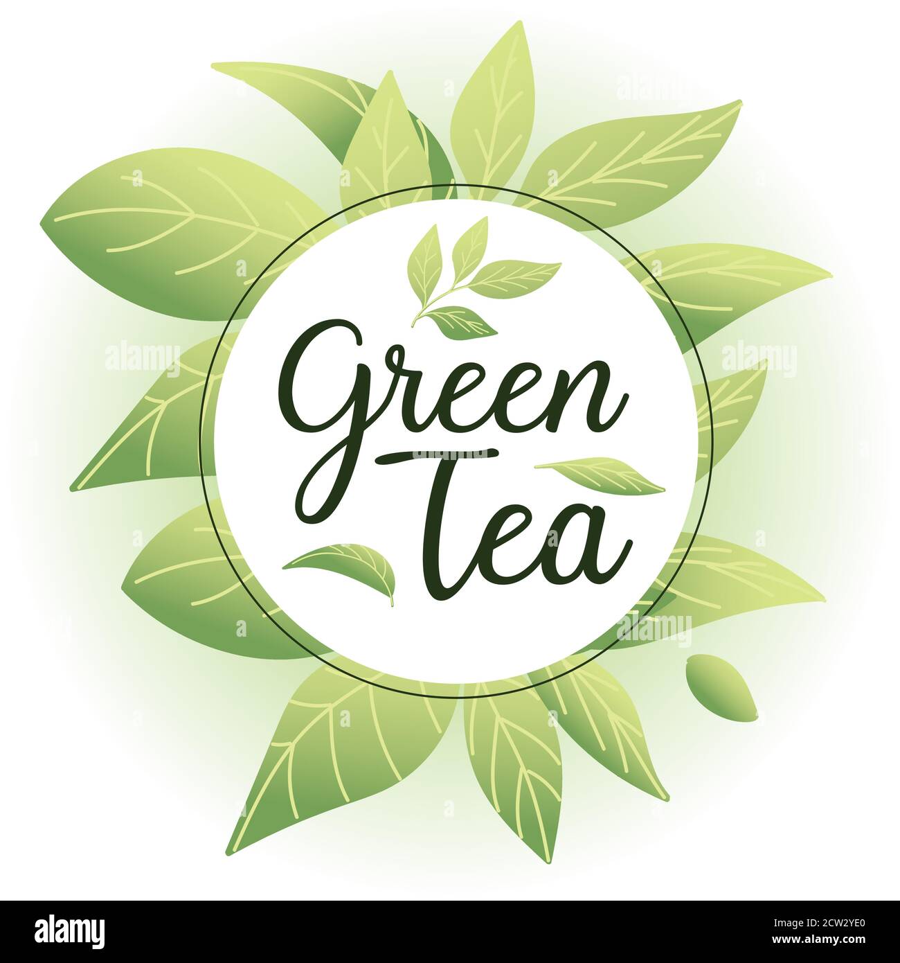Green tea with leaves around circle design, drink breakfast beverage ...