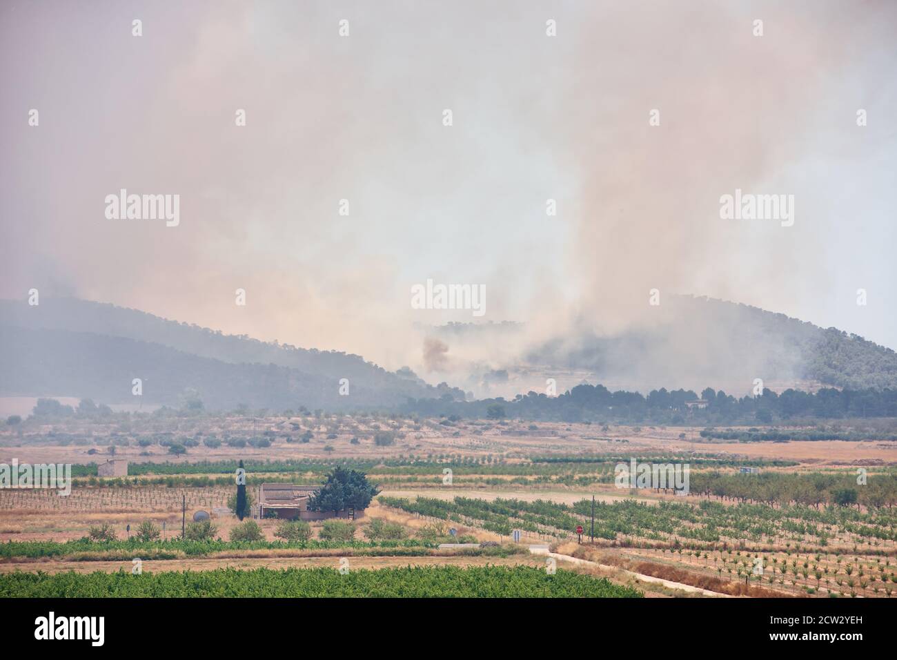 Forest Fire and smoke clouds Stock Photo - Alamy