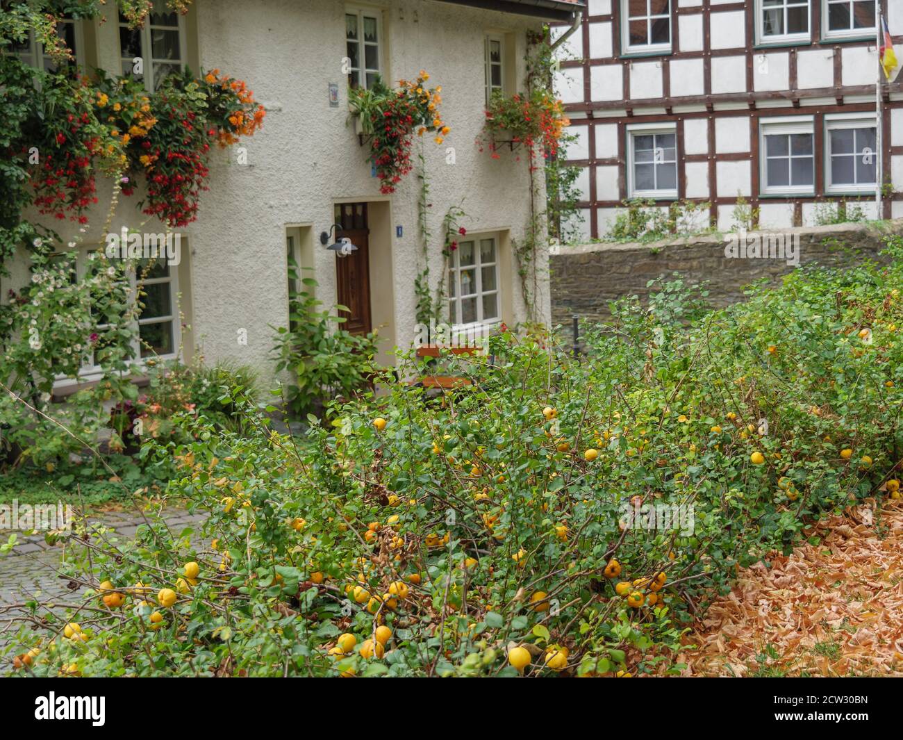 werl city in germany Stock Photo - Alamy