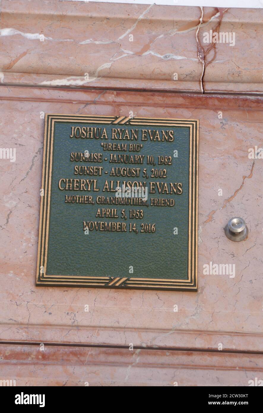 Josh Ryan Evans Grave