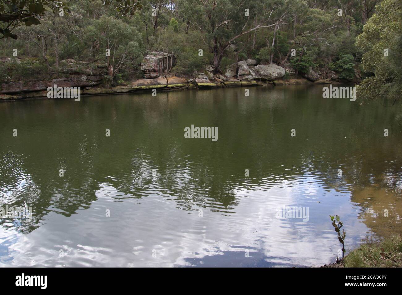 Lane Cove river in Lane Cove National Park, Sydney, NSW, Australia ...
