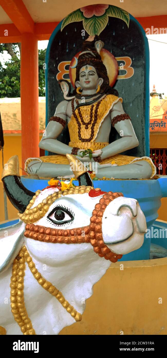 DISTRICT KATNI, INDIA - DECEMBER 13, 2019: Religious Cow face called ...