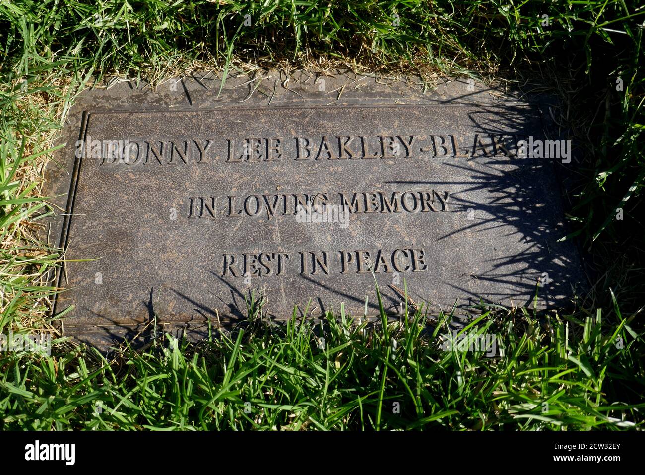 Robert blake, bonny hi-res stock photography and images - Alamy