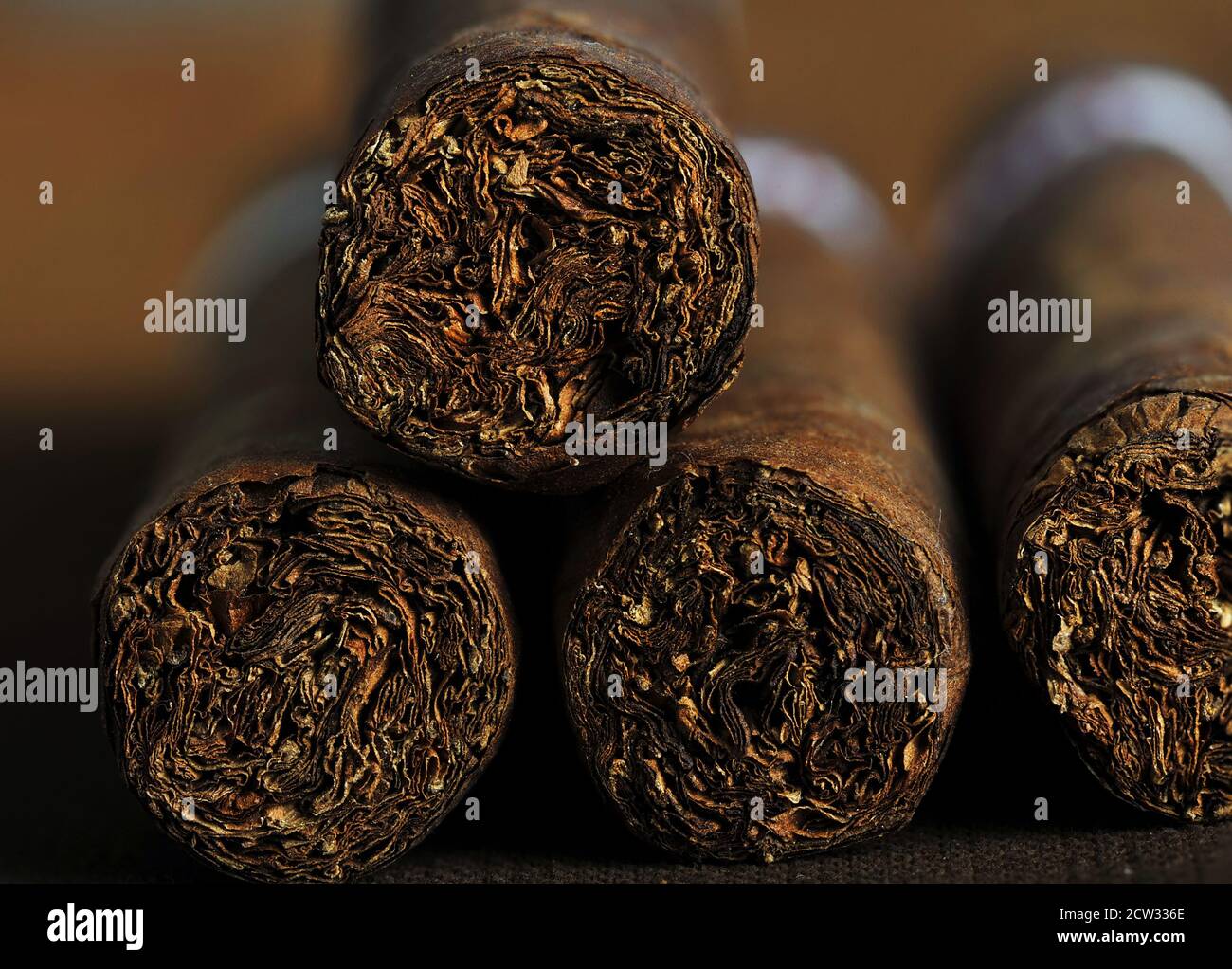 Detailed photo of a cigar front. Very shallow DOF Stock Photo - Alamy