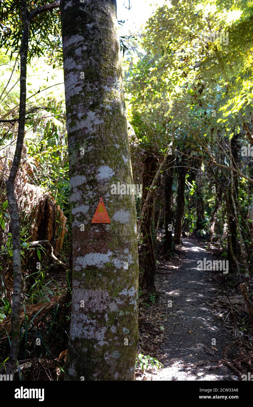 A tramping track in Hunua Ranges, with track marker Stock Photo - Alamy