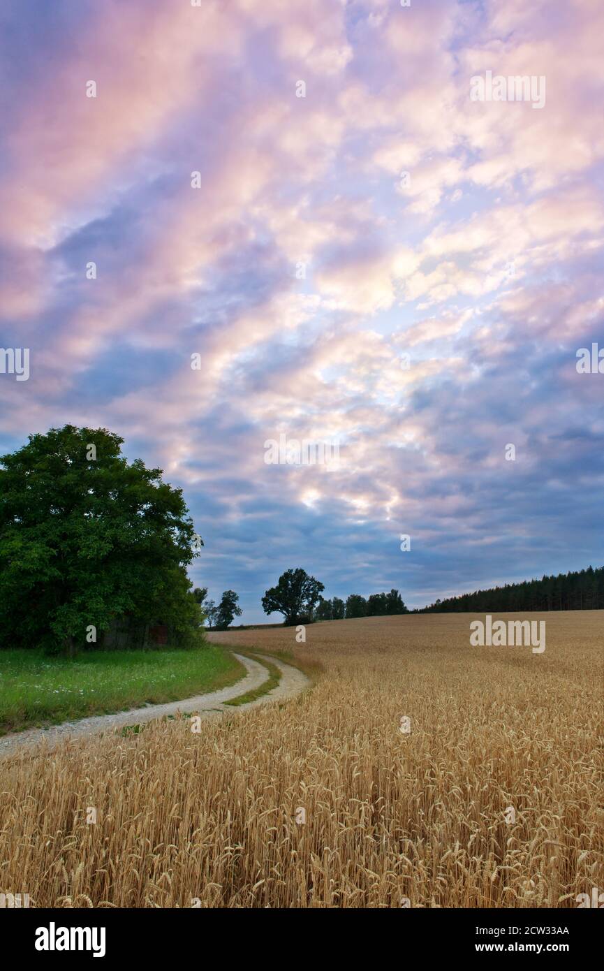 Dramaic clouds hi-res stock photography and images - Alamy