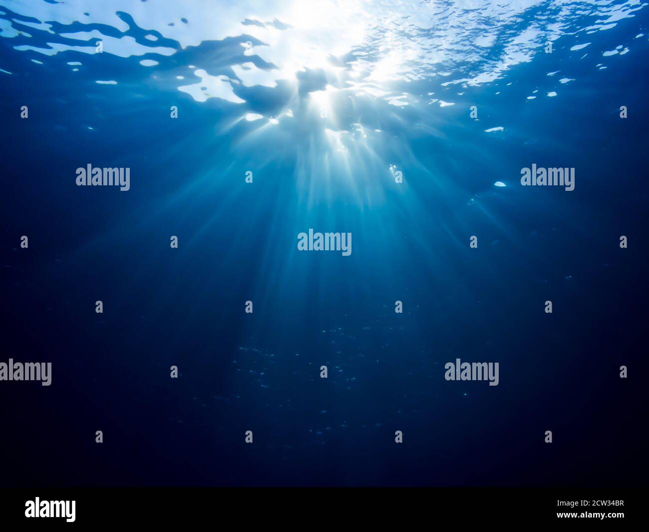 Underwater scene with rays of light Stock Photo - Alamy