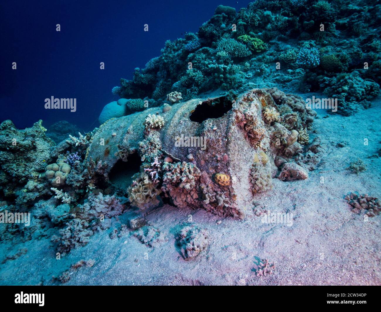 Wrecks with coral reef and diver Stock Photo - Alamy