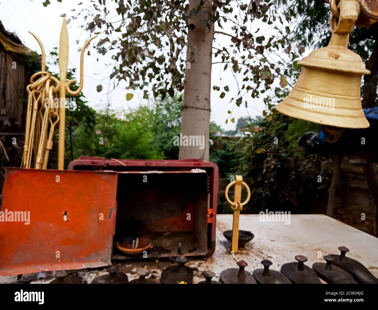 DISTRICT KATNI, INDIA - OCTOBER 10, 2019: Indian holly Hermit on ...