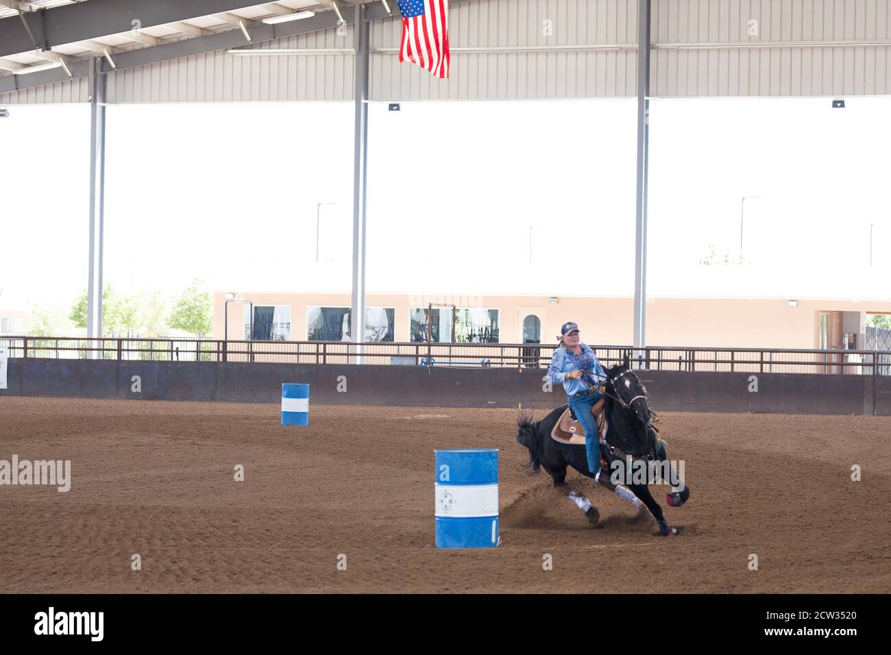 Hummingbirds in flight fast hi-res stock photography and images - Alamy