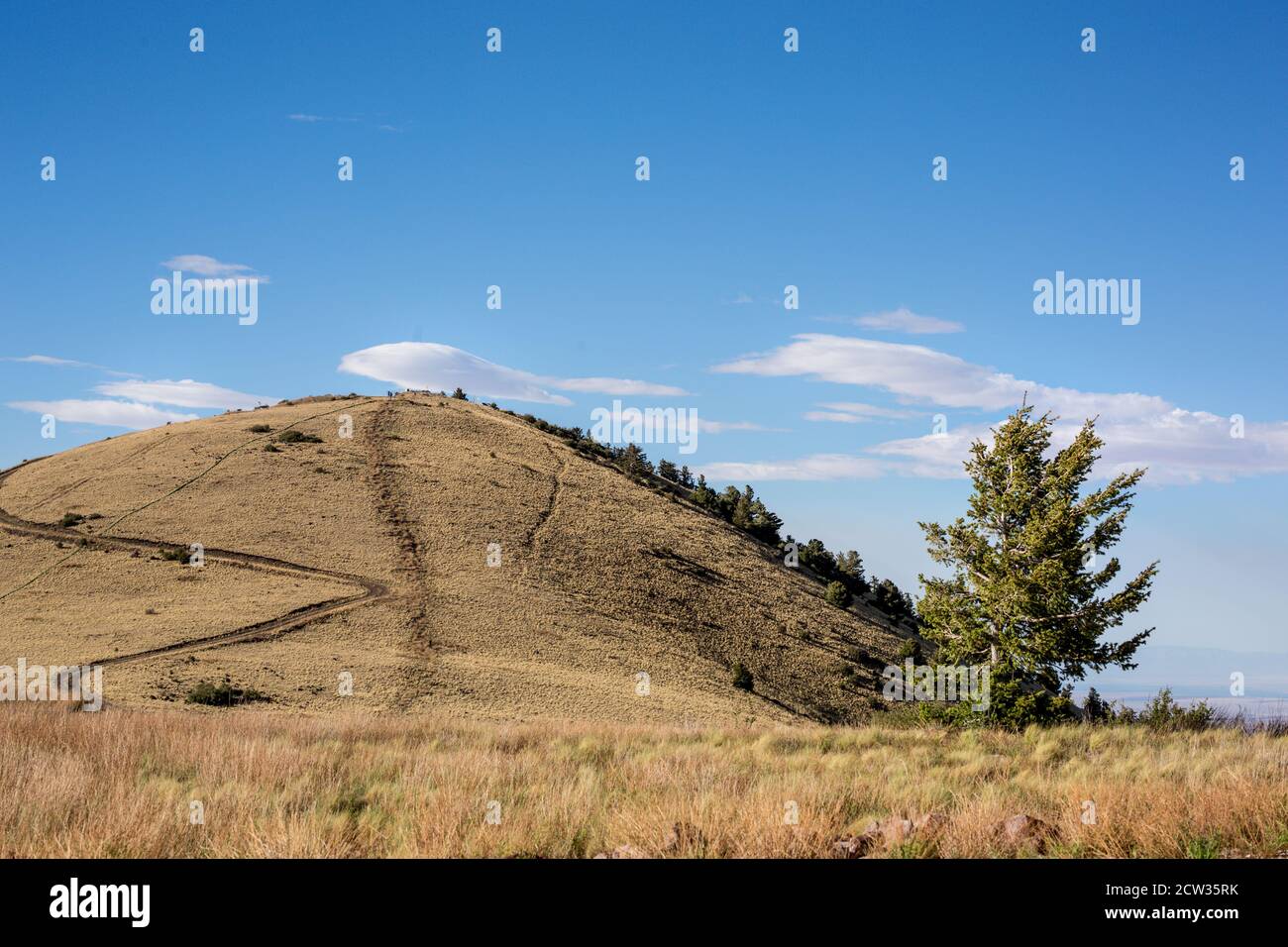 New Mexico, desolate desert landscape of a wonderful country Stock ...