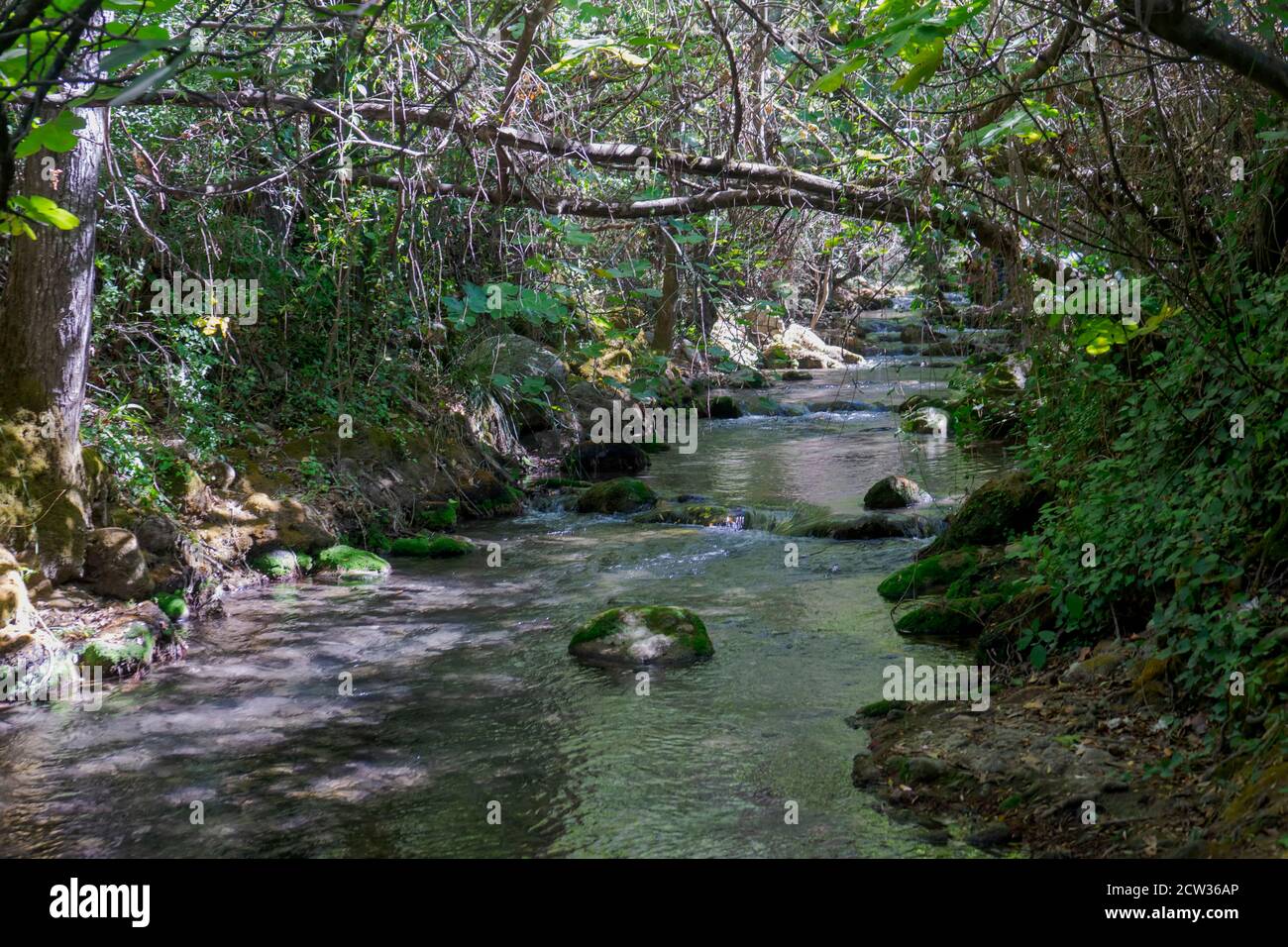 Bosque river hi-res stock photography and images - Alamy
