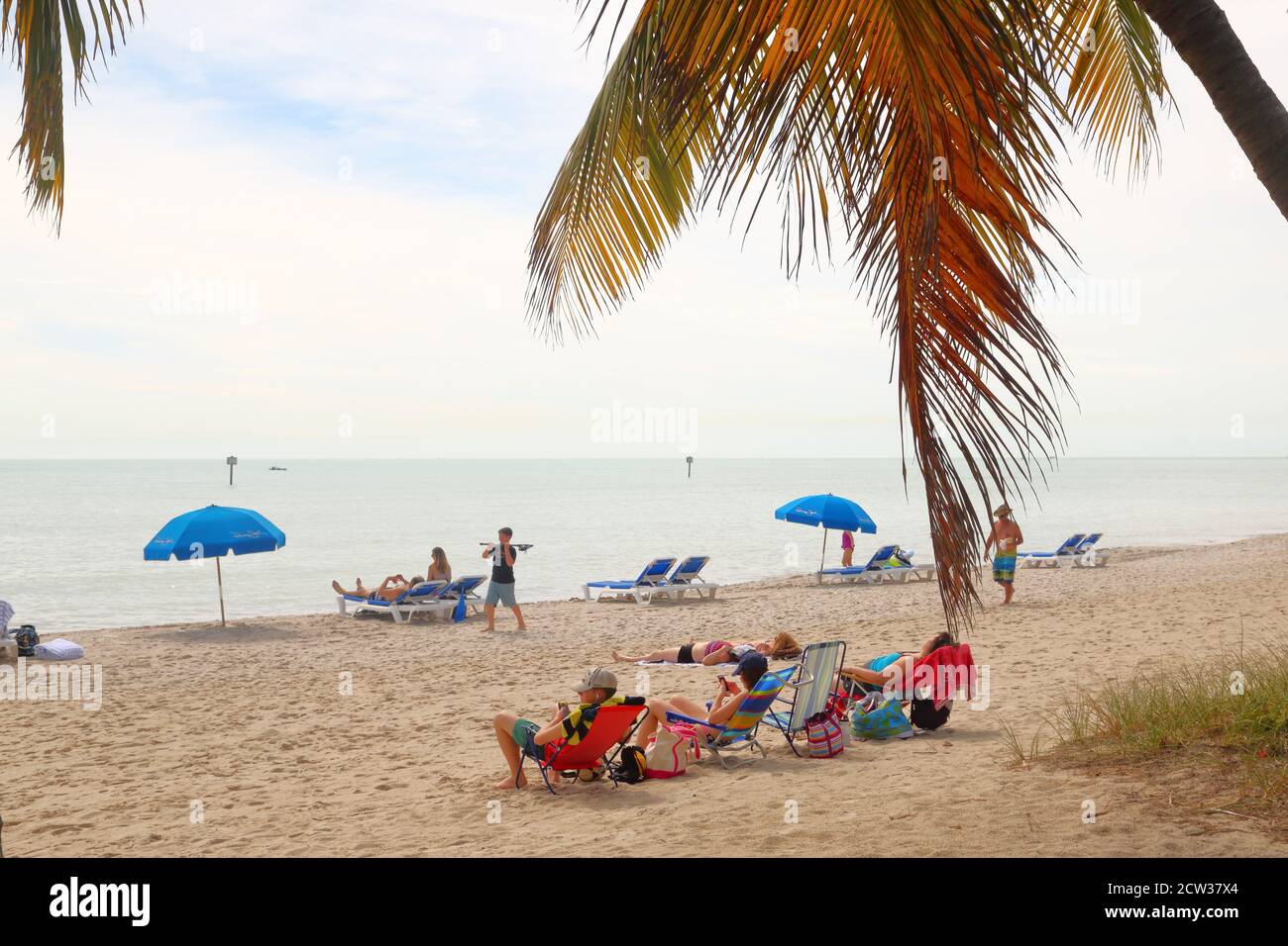 Key west swimming hi-res stock photography and images - Alamy