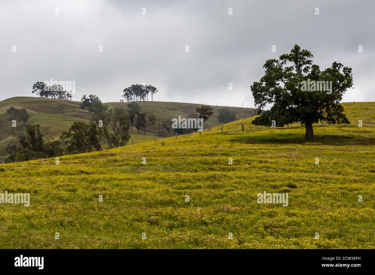 Upper hunter nsw hi-res stock photography and images - Alamy