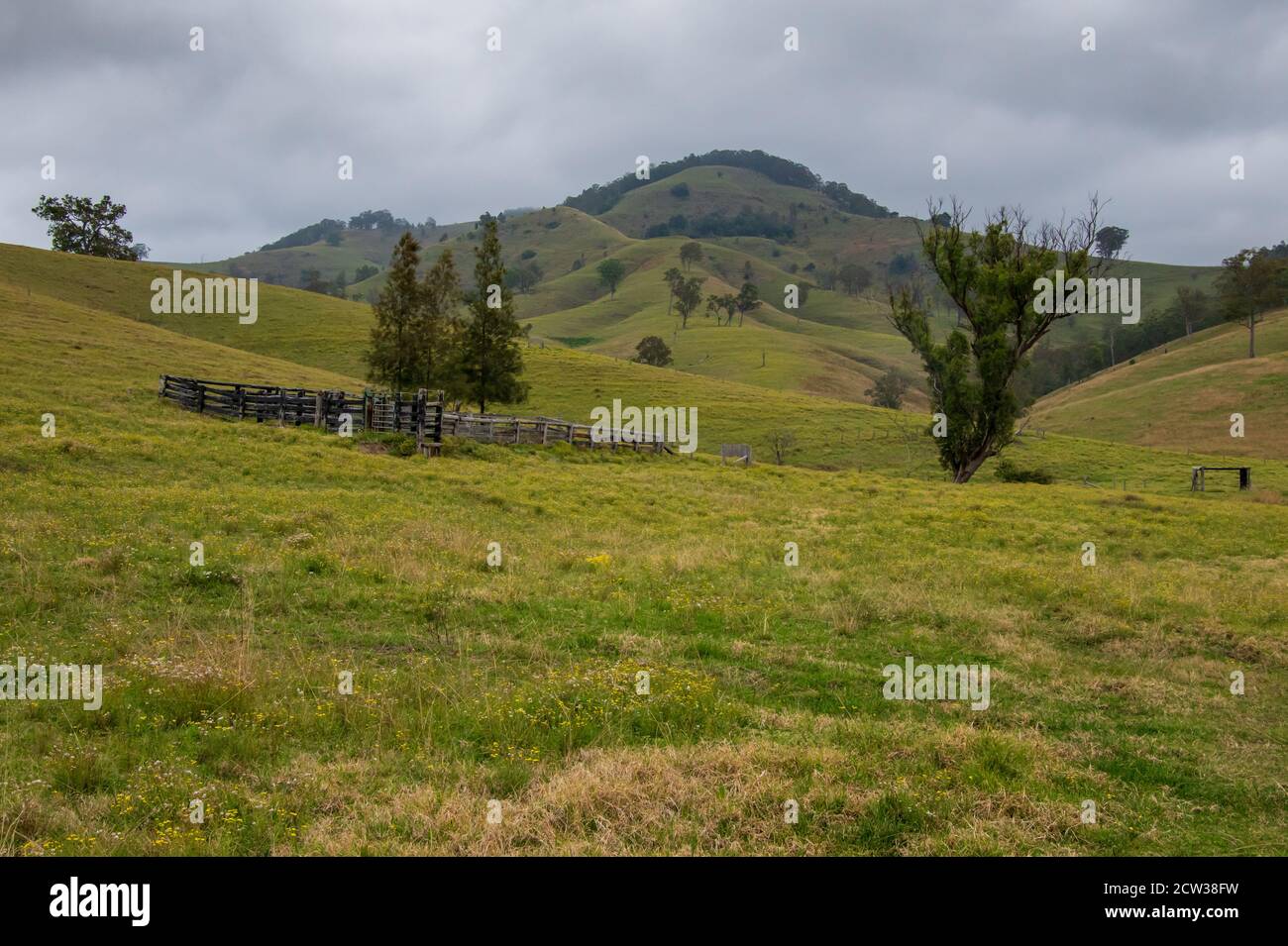 Upper hunter nsw hi-res stock photography and images - Alamy